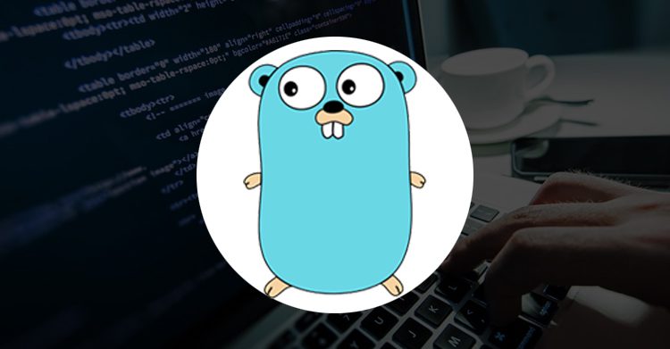 Why Hire Golang Developers? Key Skills and Benefits Why Hire Golang Developers? Key Skills and Benefits